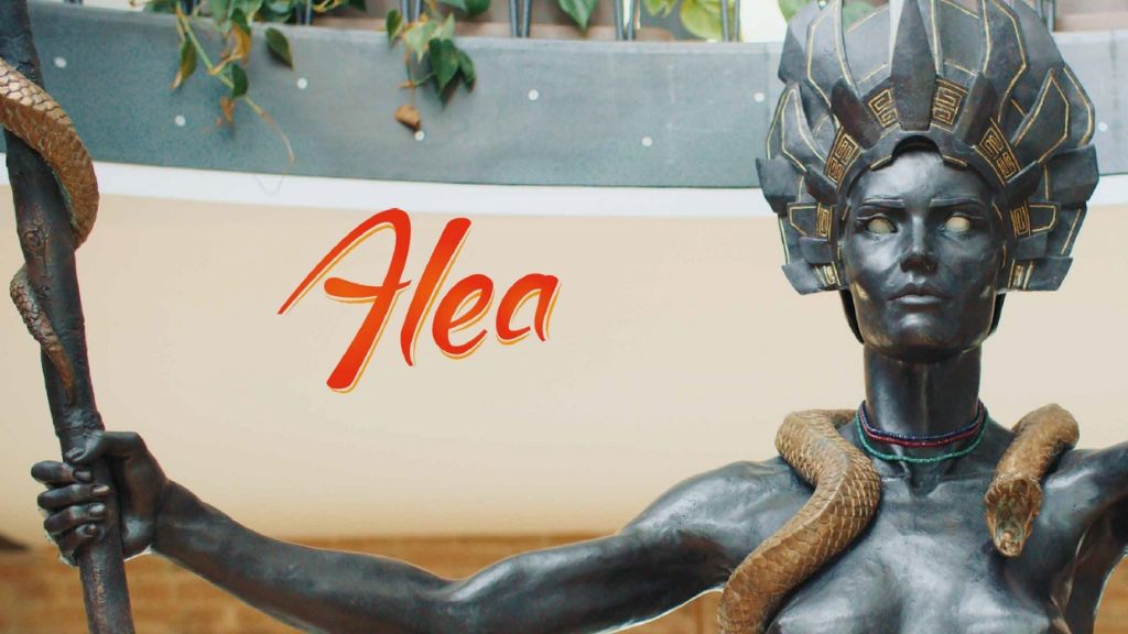 Alea inaugurates its Barcelona office