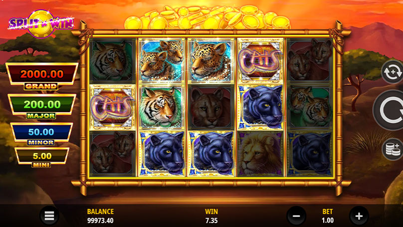 Cats Split 'n' Win Slot Review | IGT