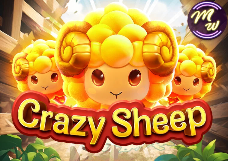 Crazy Sheep