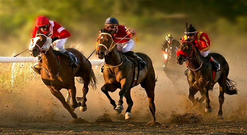 Betmakers sees $20m Punting Form buy as improving margins, creating new ...