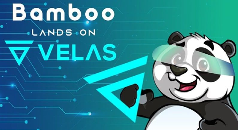 BAMBOO + VELAS BLOCKCHAIN - SigmaPlay
